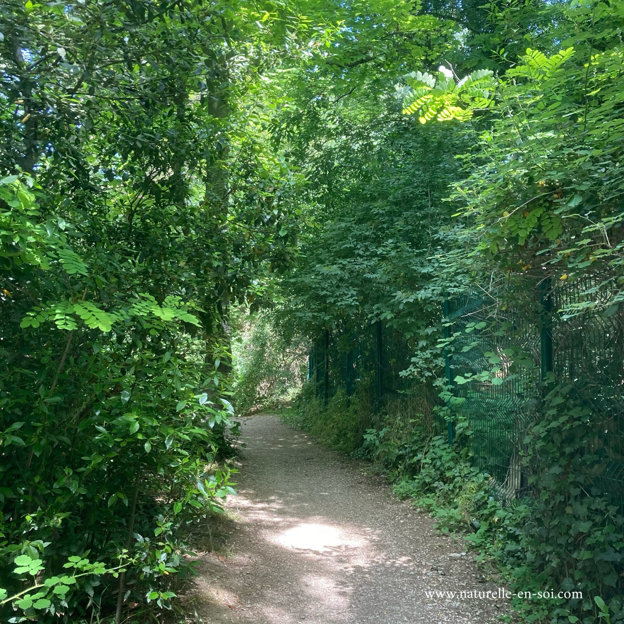 La règle des 5 R – · naturelle en soi